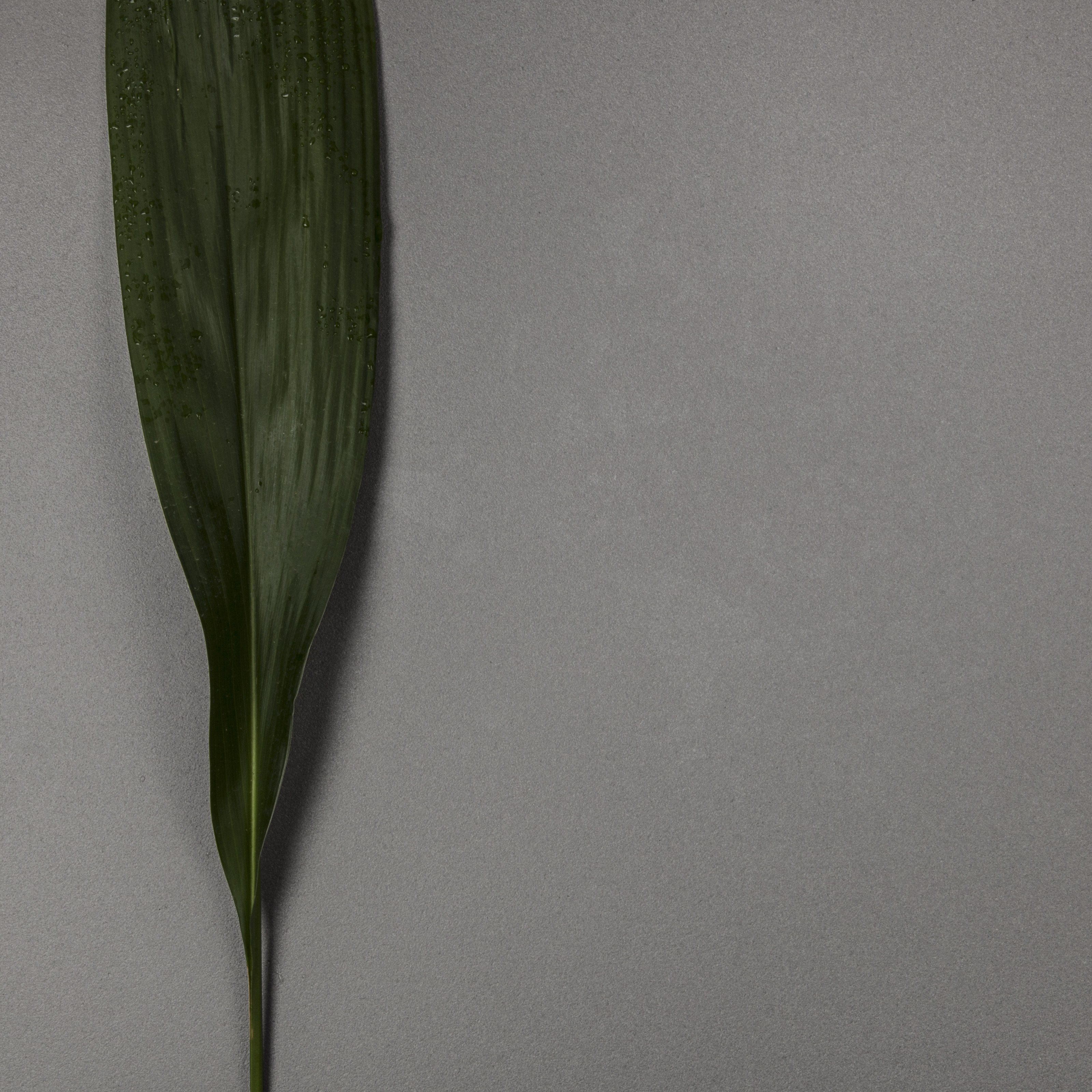 Modern kitchen cladding: kitchen worktops and sinks | Lapitec